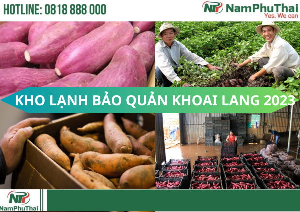 KHO LẠNH BẢO QUẢN KHOAI LANG MỚI NHẤT 2023 - Nam Phú Thái